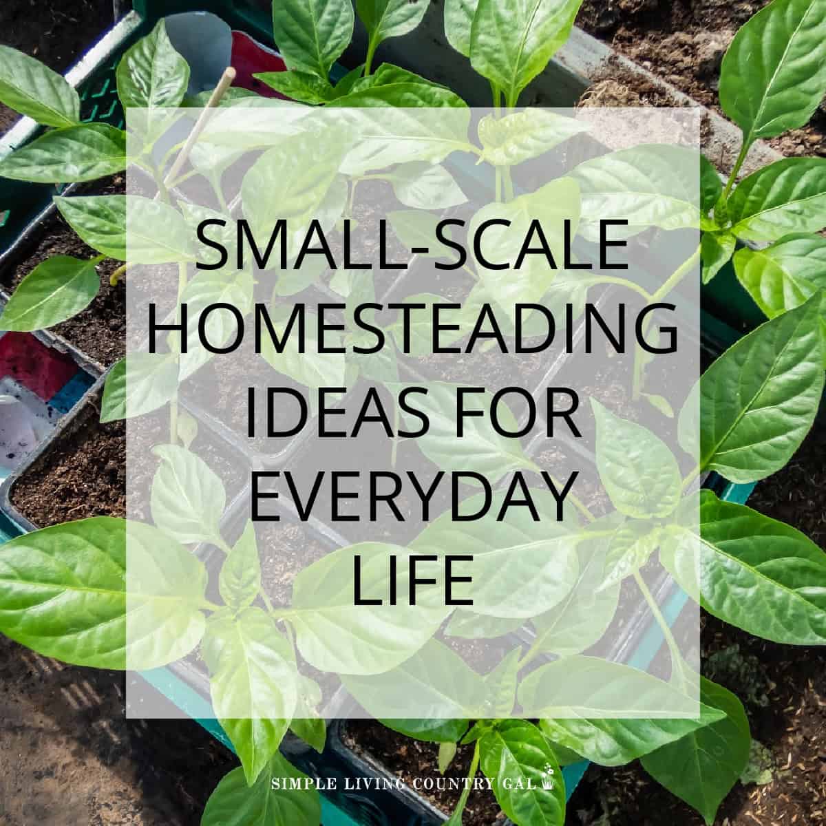 Transform Your Life with Small-Scale Homestead Ideas | Simple Living ...