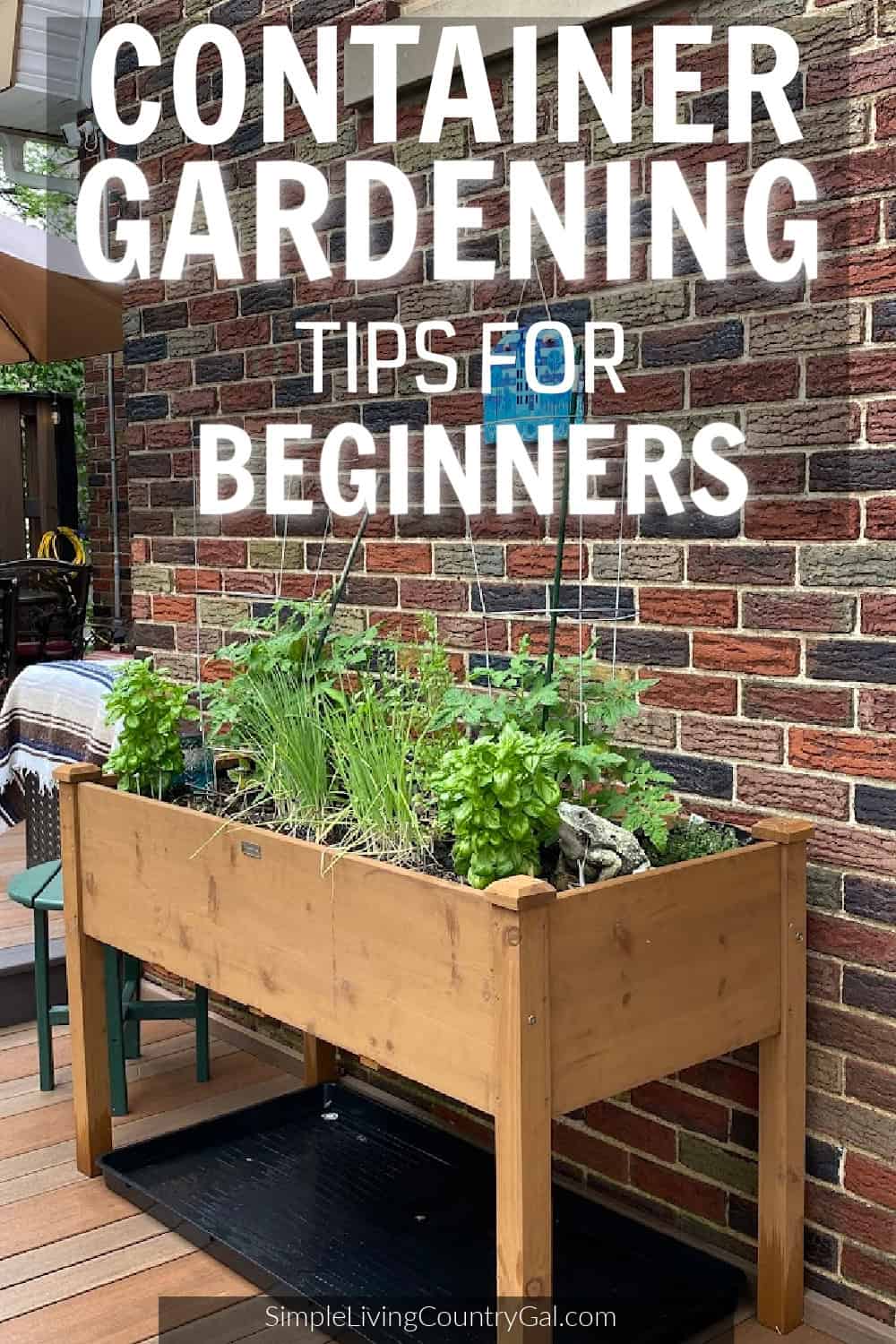 Tips for Container Gardening: Grow Fresh Veggies and Herbs | Simple ...