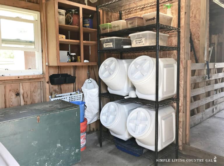 Creating an Ideal Goat Barn Layout for Raising Dairy Goats | Simple ...