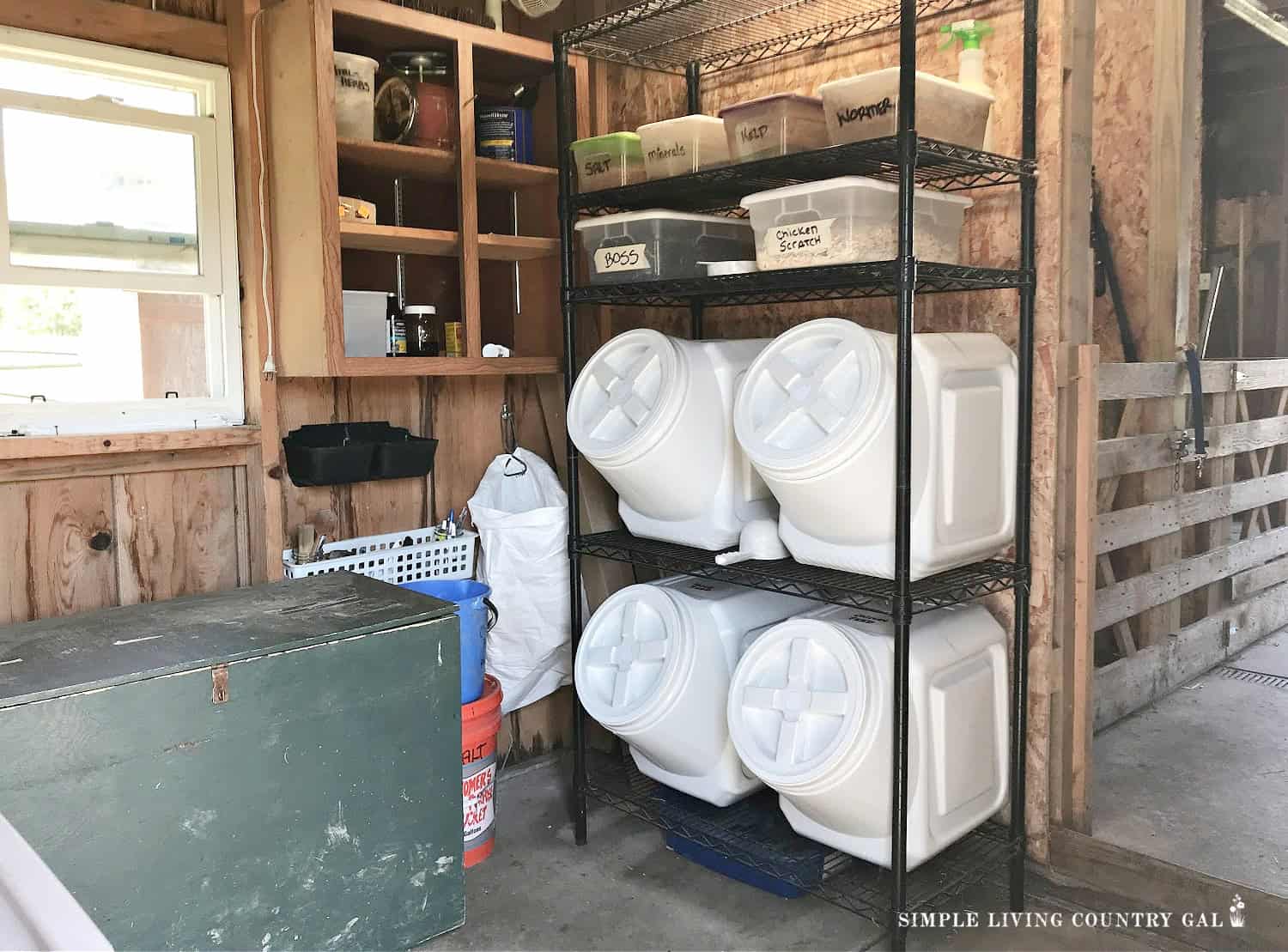 Creating an Ideal Goat Barn Layout for Raising Dairy Goats | Simple ...