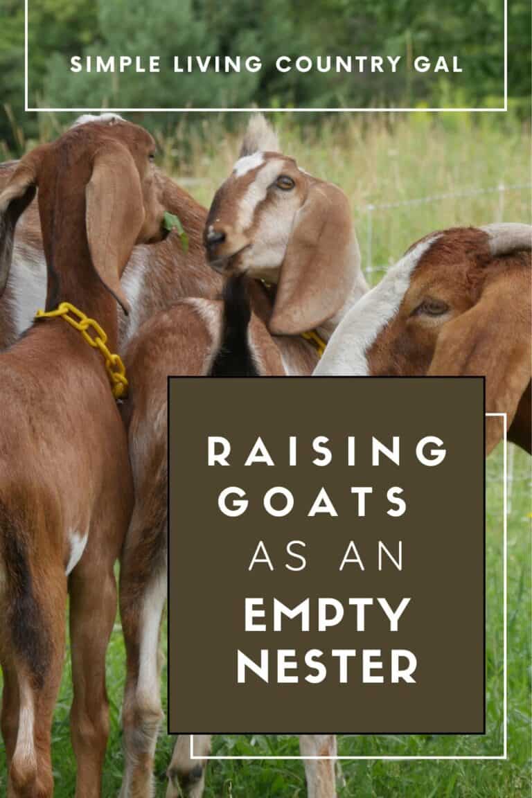 Raising Goats for Beginners: A Complete Guide | Simple Living Country Gal