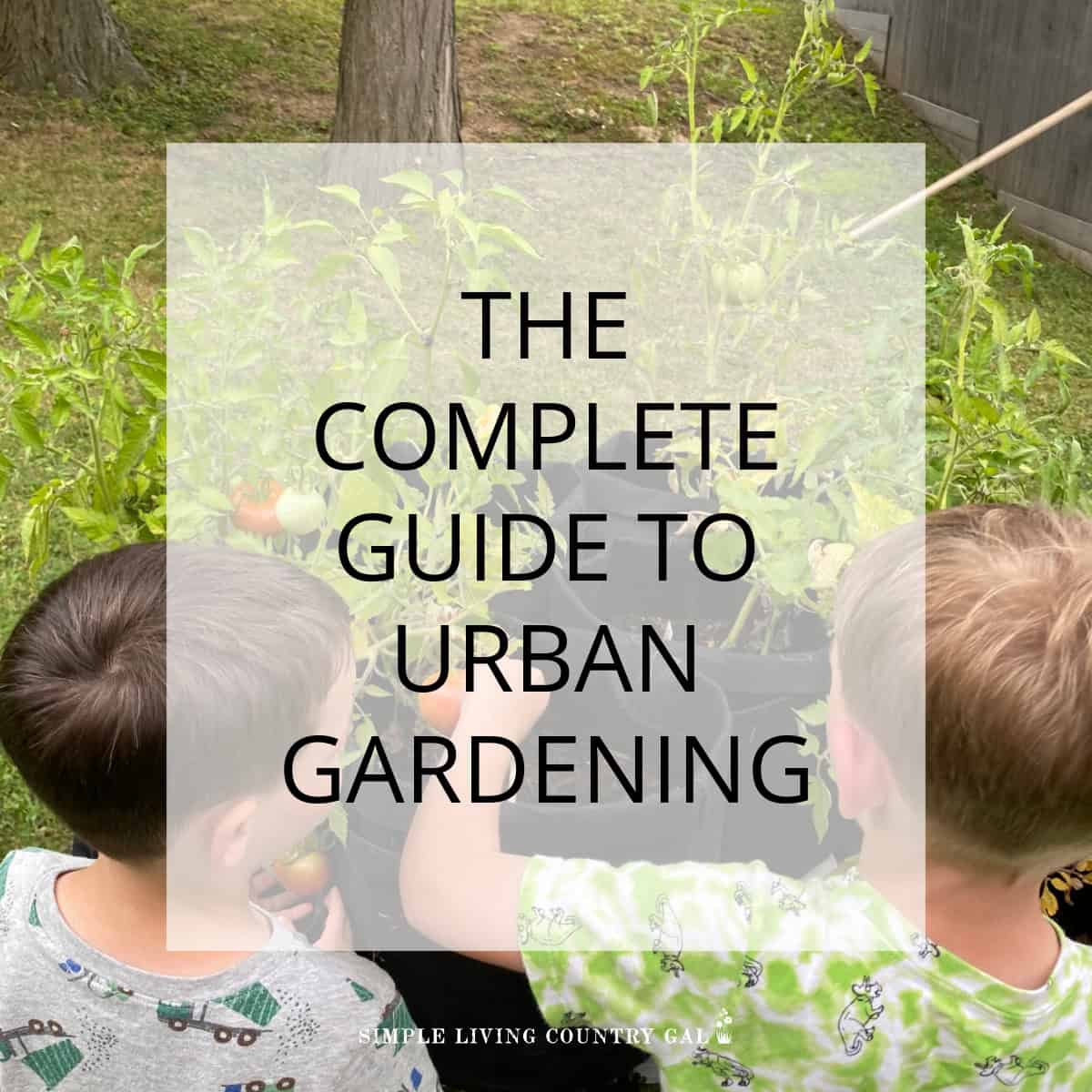 Easy Steps to Start Urban Gardening: Grow Your Own Food | Simple Living ...