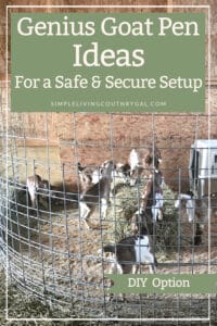 Movable Goat Pen: A Flexible Solution for Raising Goats | Simple Living ...
