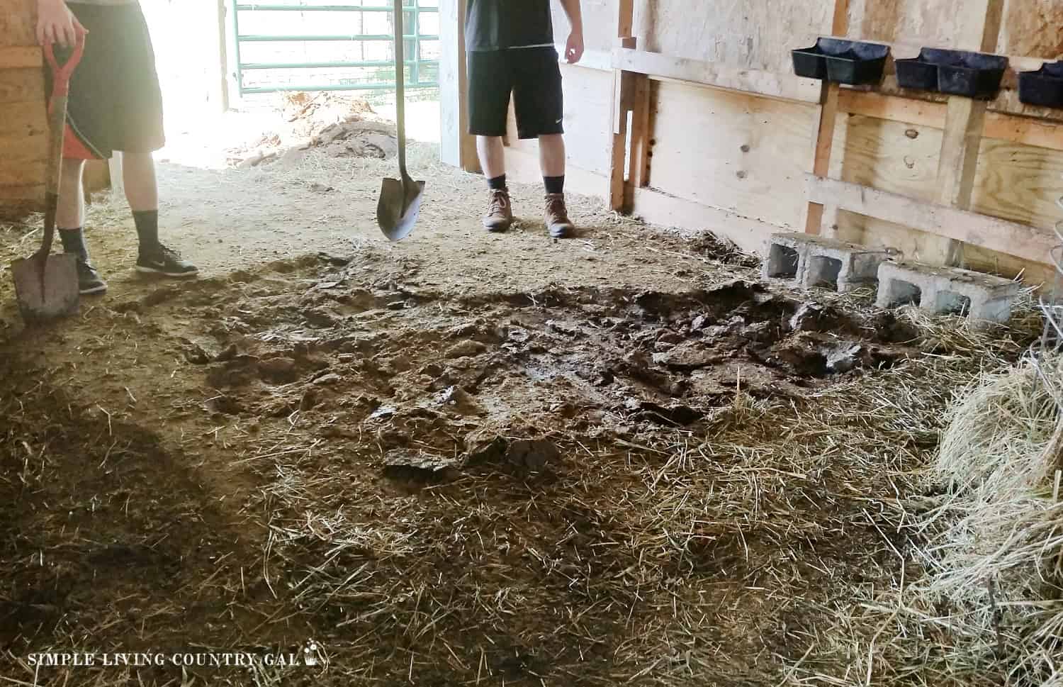 Transform Your Barn with These Cleaning Tips | Simple Living Country Gal