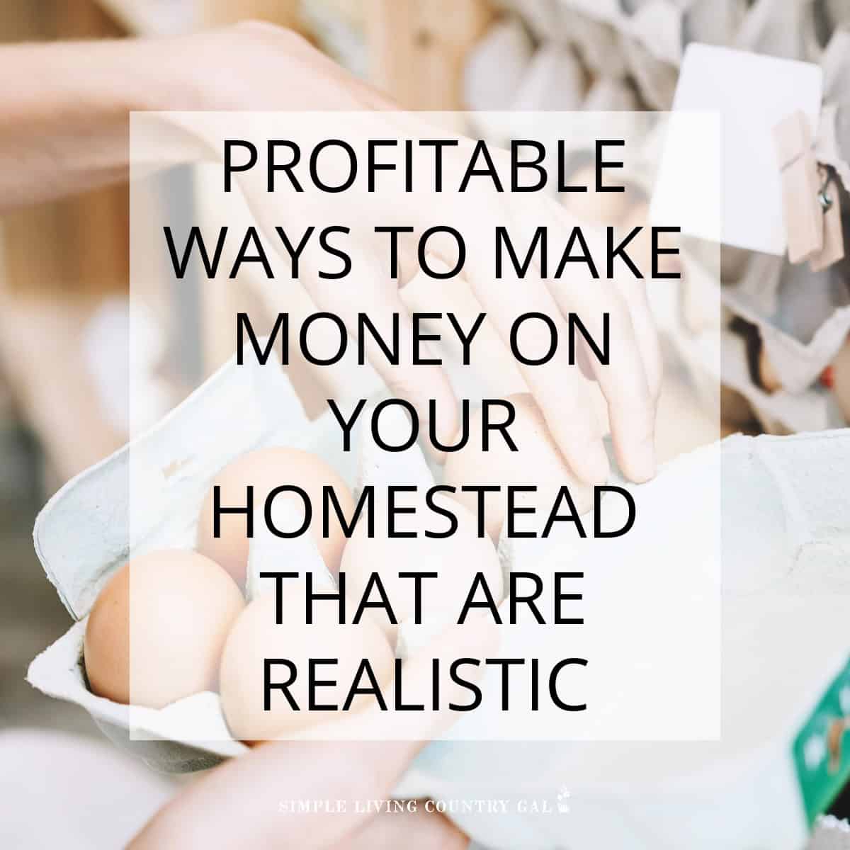 Homestead Business Ideas That Work Well Today | Simple Living Country Gal