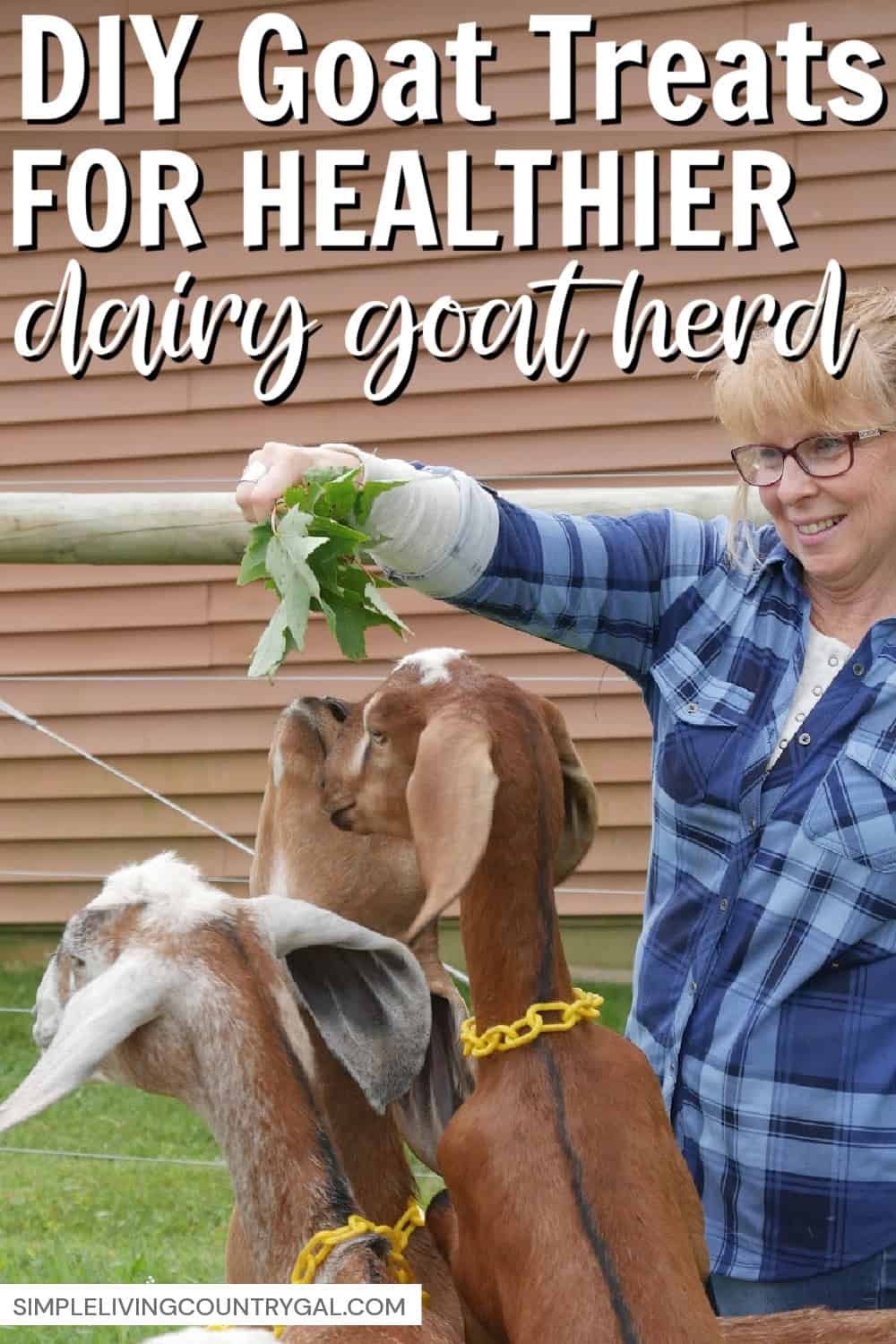 Goat Treats Recipe: Healthy Snacks for Goats | Simple Living Country Gal