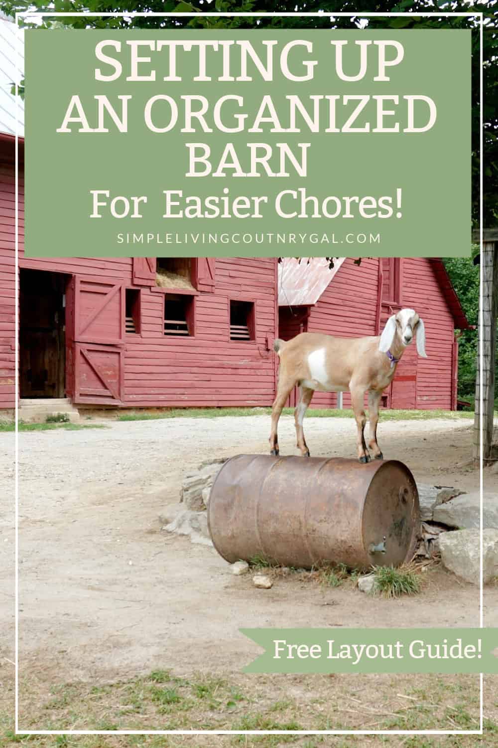 Goat Barn Setup: Create an Efficient Space | Simple Living Country Gal