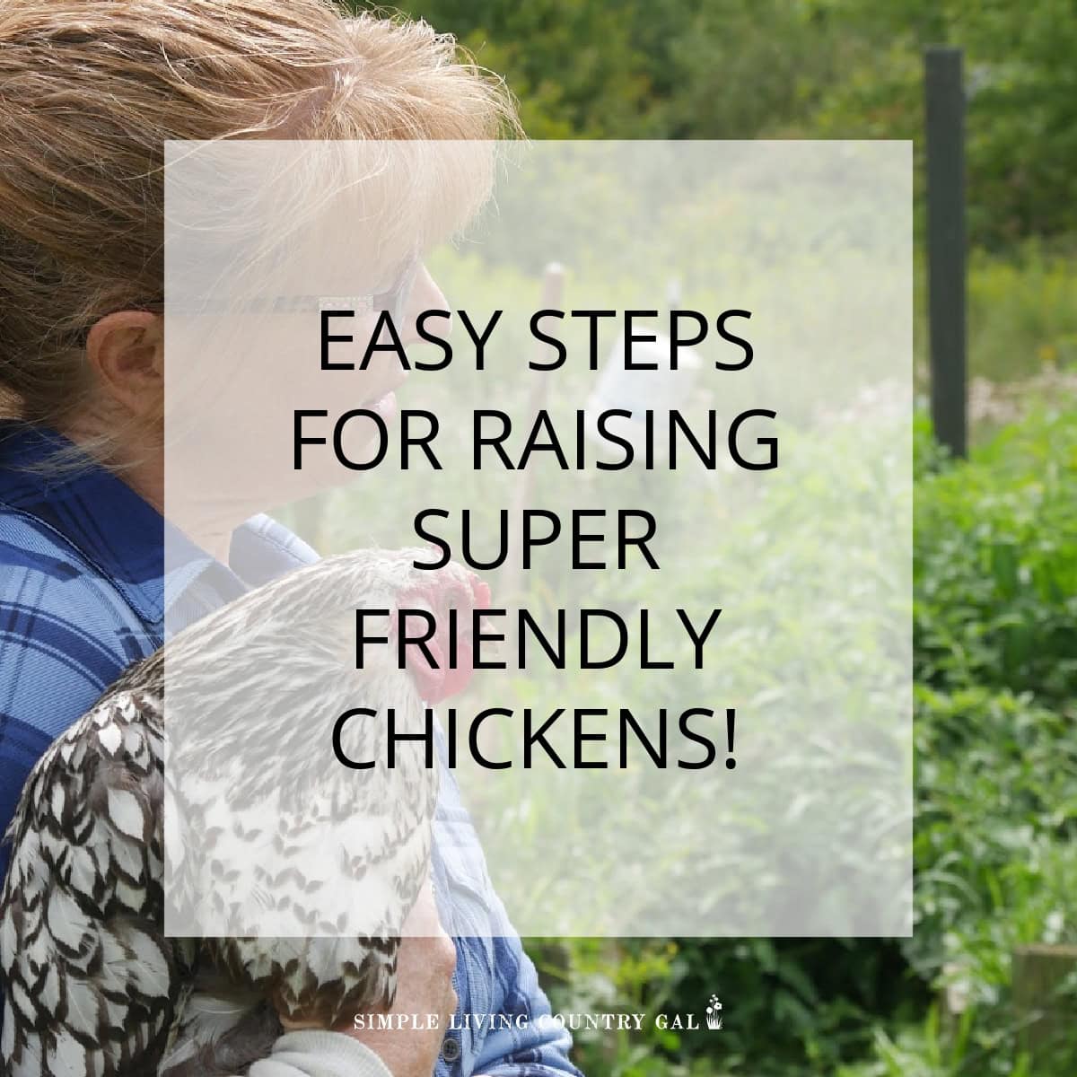 How to Raise Friendly Chickens in Your Backyard | Simple Living Country Gal