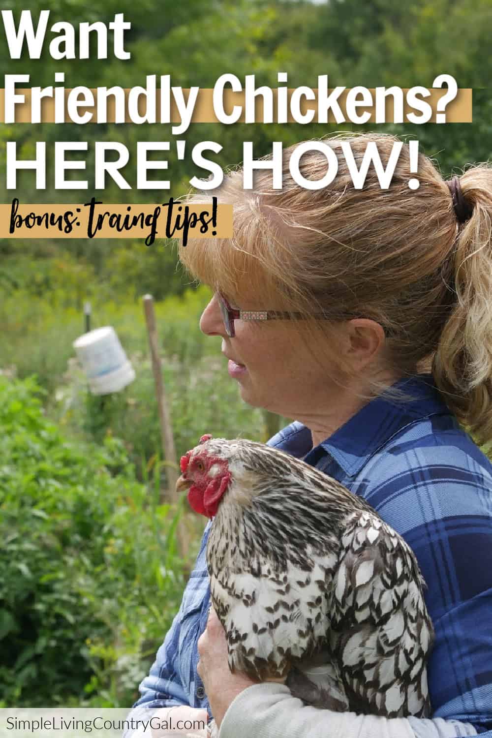 How to Raise Friendly Chickens in Your Backyard | Simple Living Country Gal