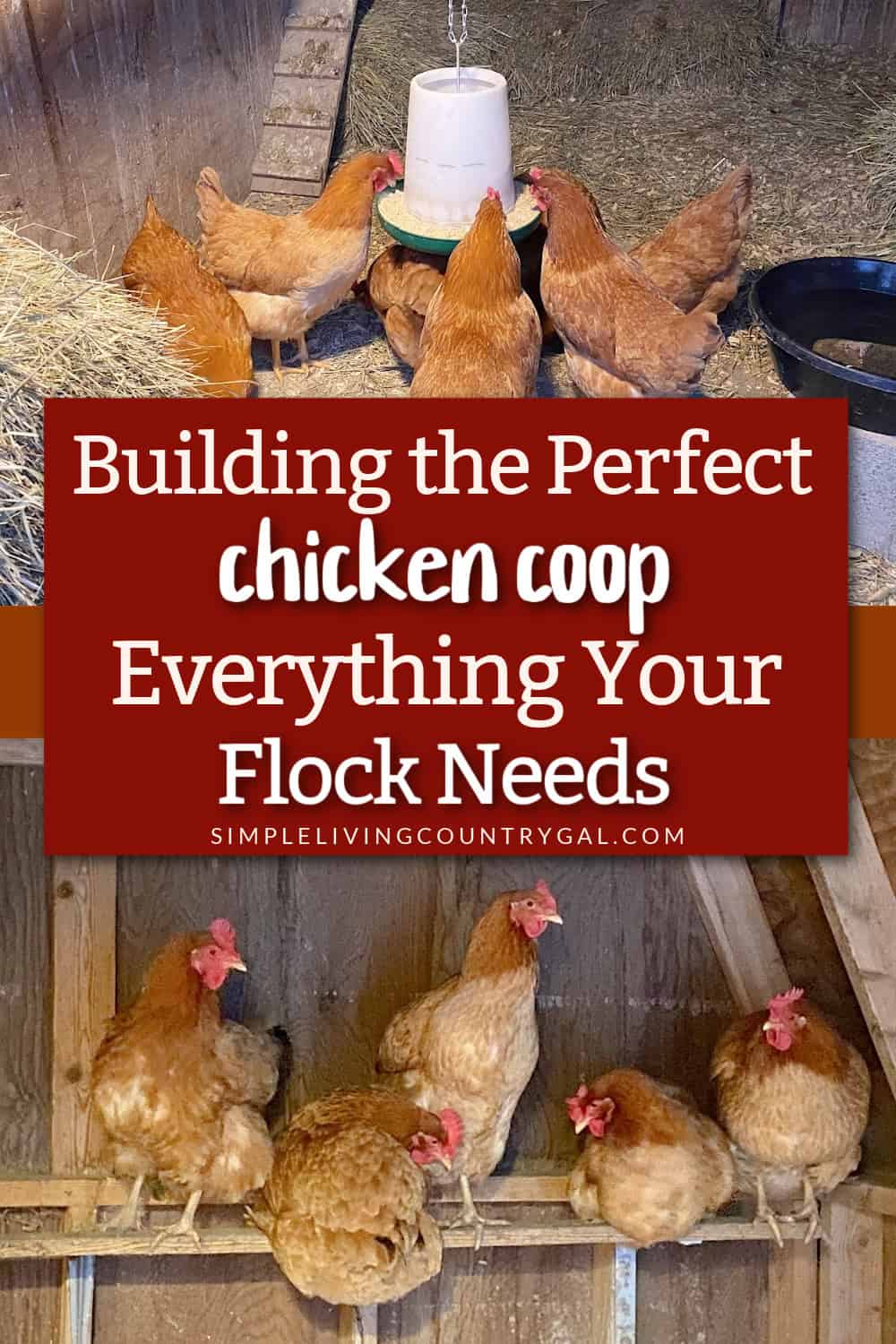 Chicken Coop Resource Page: Feed & Water | Simple Living Country Gal