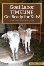Goat Labor Timeline: Understanding Each Stage | Simple Living Country Gal