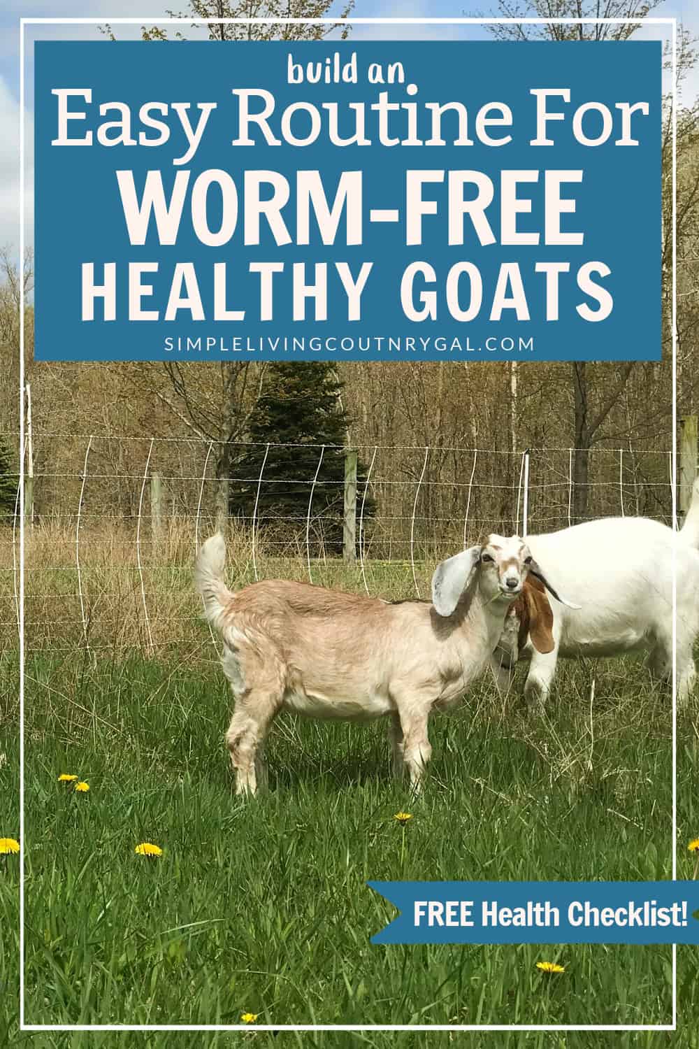 Natural Routine Deworming for Healthier Goats | Simple Living Country Gal