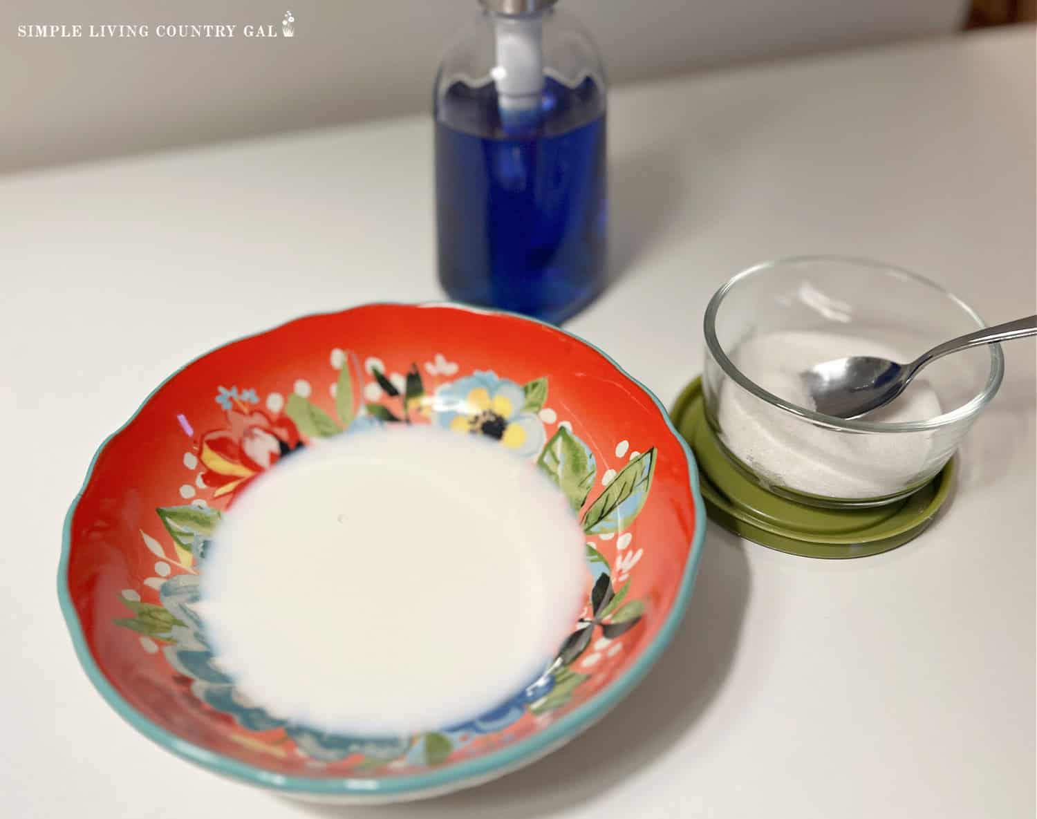 How to Get Rid of Fruit Flies Without Vinegar Naturally | Simple Living ...