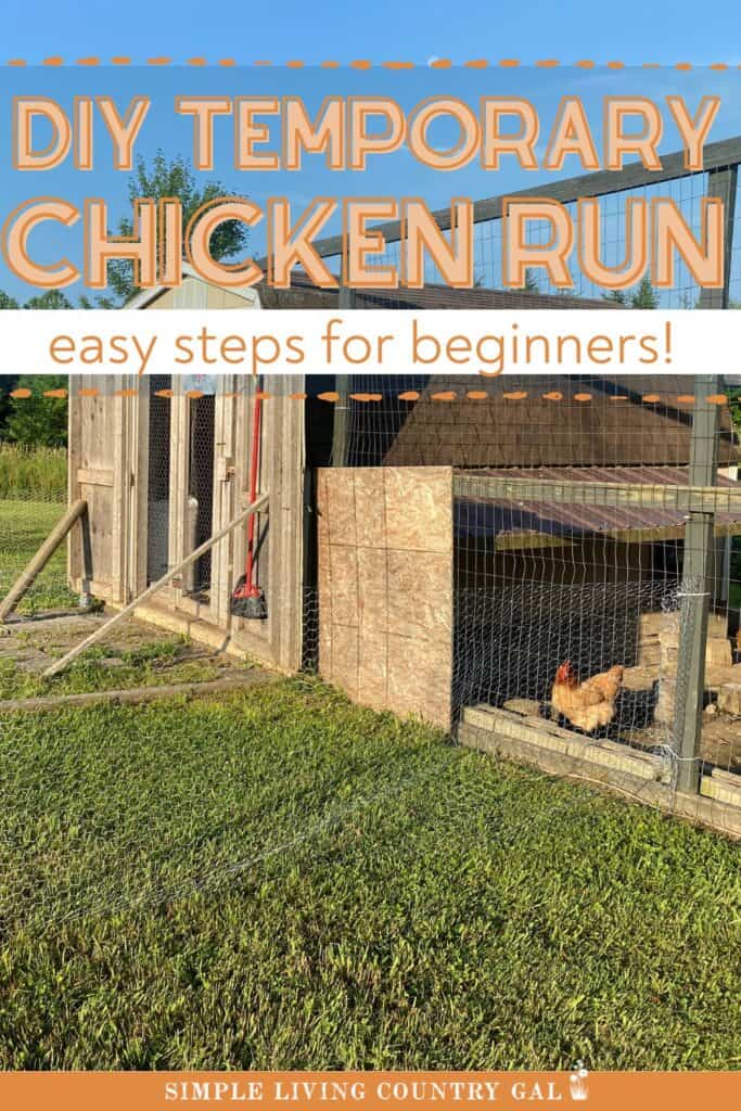 Temporary Chicken Run: Easy Setup for Your Flock | Simple Living ...