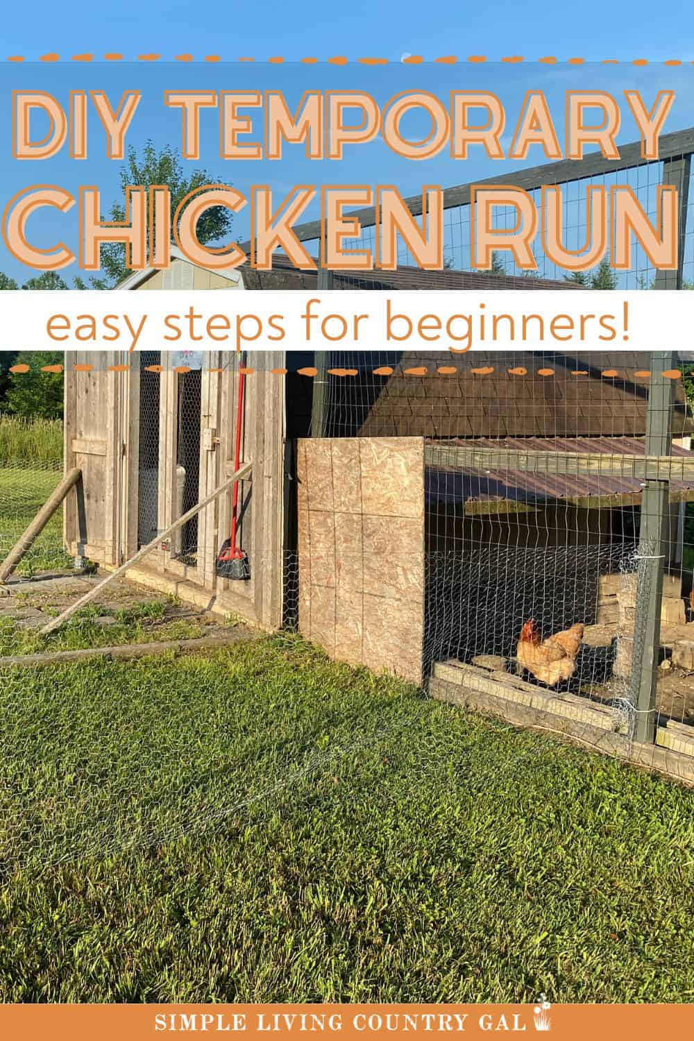 Temporary Chicken Run: Easy Setup for Your Flock | Simple Living ...