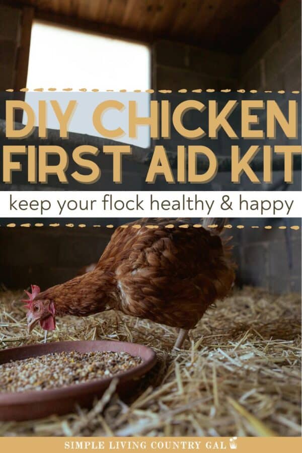 How to Build a Chicken First Aid Kit for Beginners | Simple Living ...
