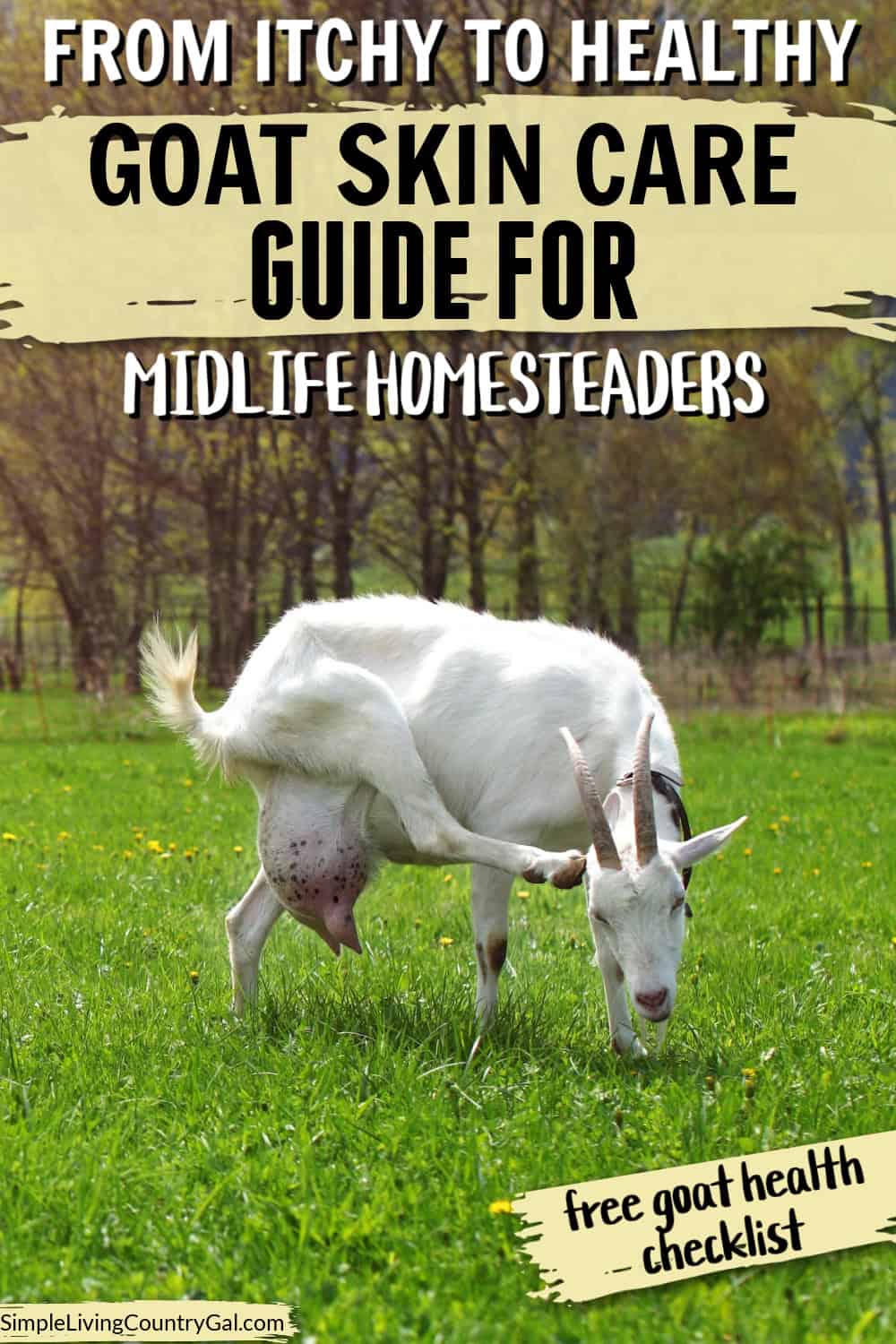 How to Identify and Treat Common Goat Skin Issues | Simple Living ...